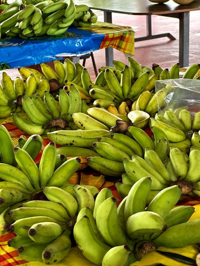 Food specialties to try out in Martinique - Travel Tips & Pics
